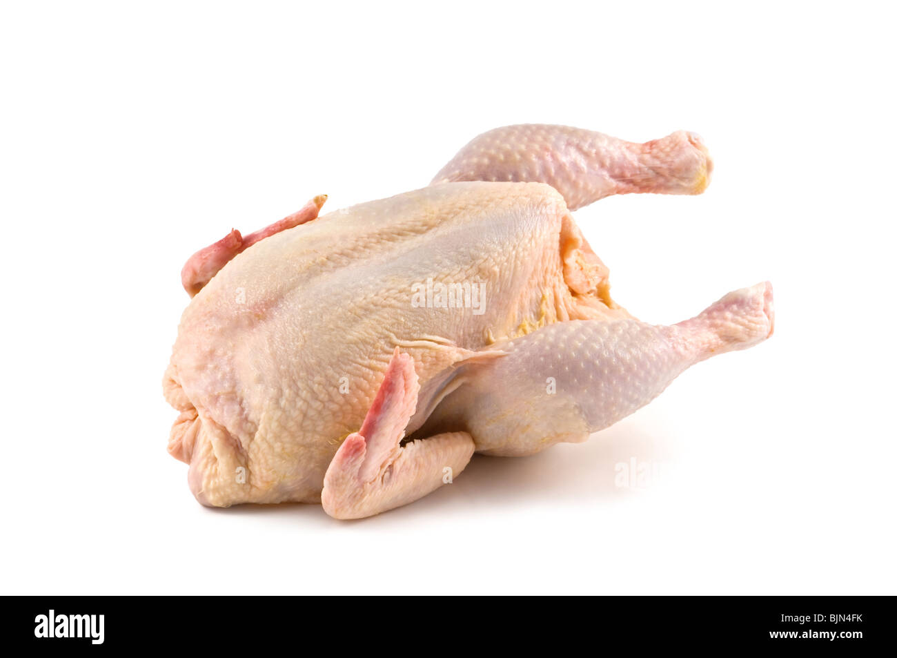 Chicken, white background hi-res stock photography and images - Alamy