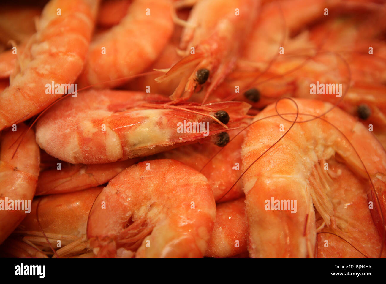 Shrimp detail hi-res stock photography and images - Alamy
