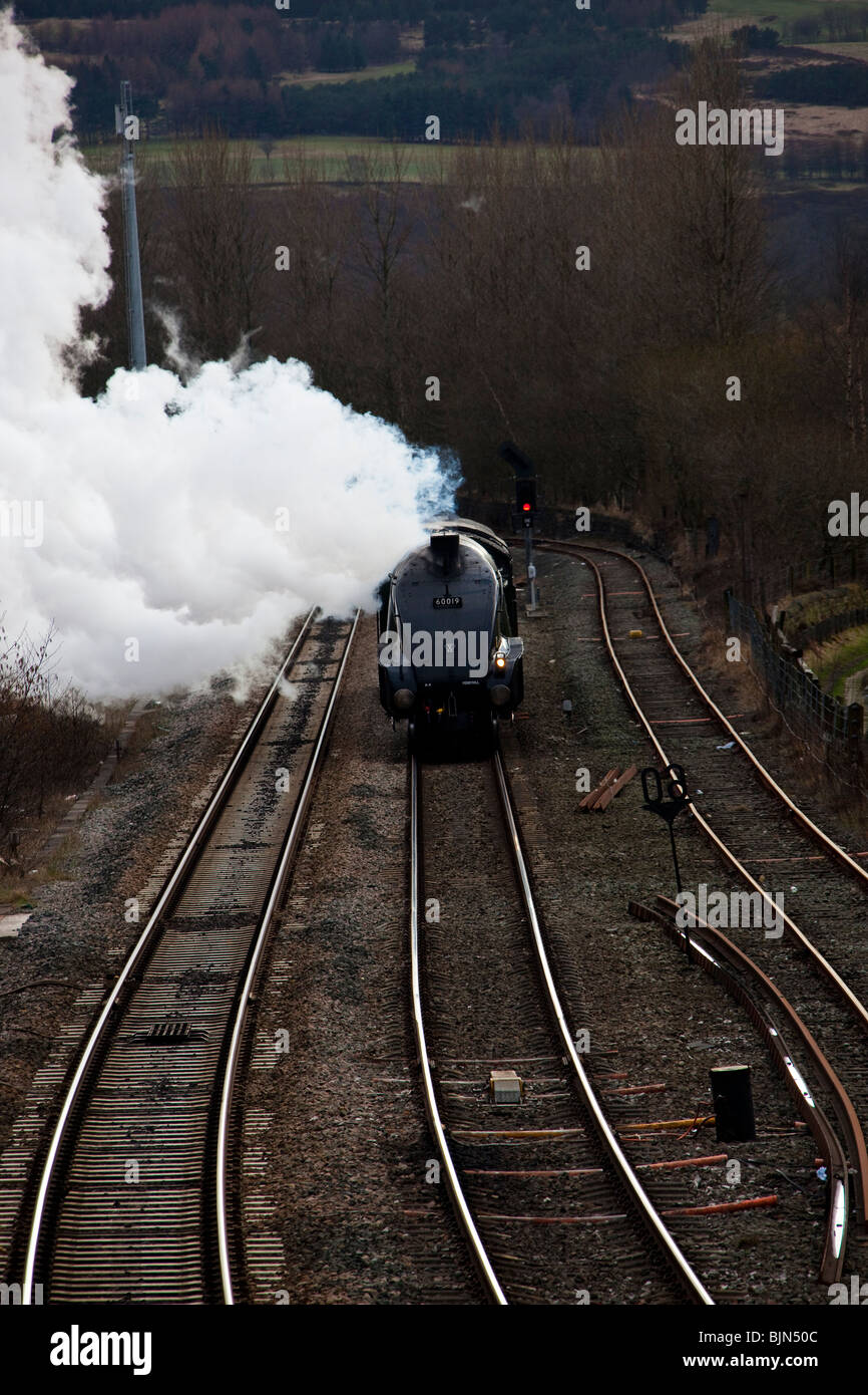 Gresley A4 Bittern Steam Engine Stock Photo - Alamy