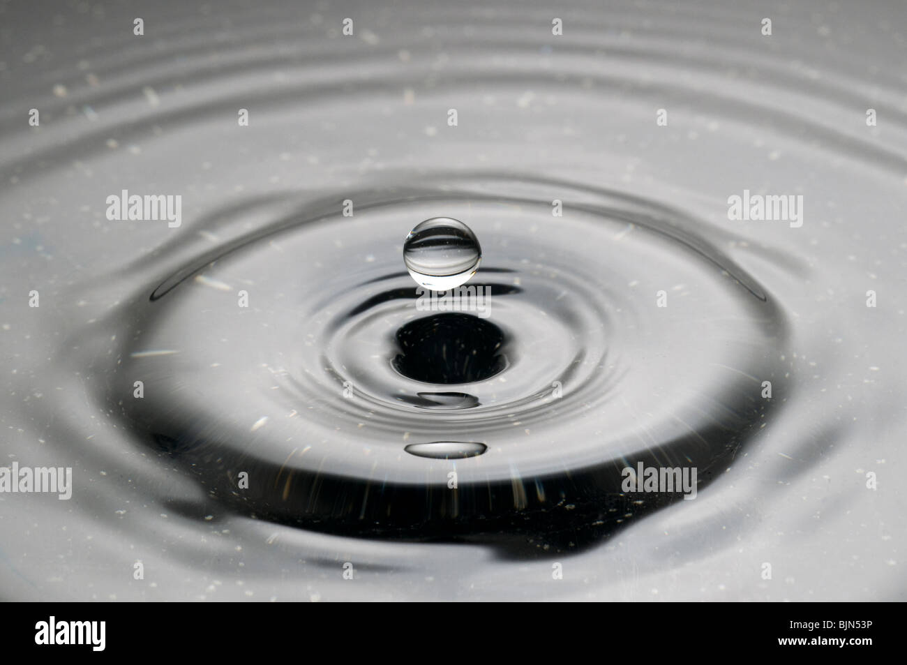 A droplet of water falling into a puddle and creating ripples Stock ...