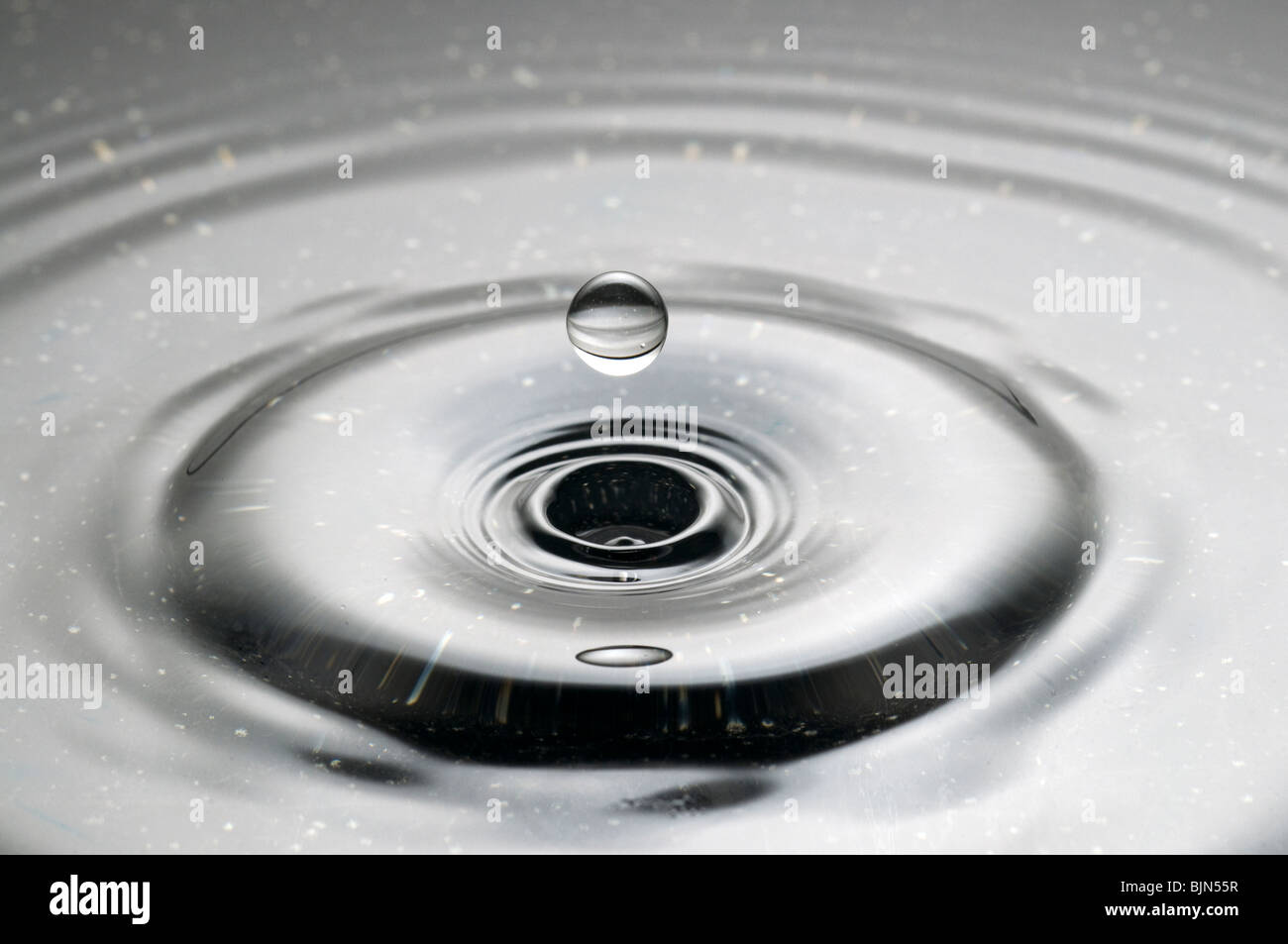 A droplet of water falling into a puddle and creating ripples Stock ...