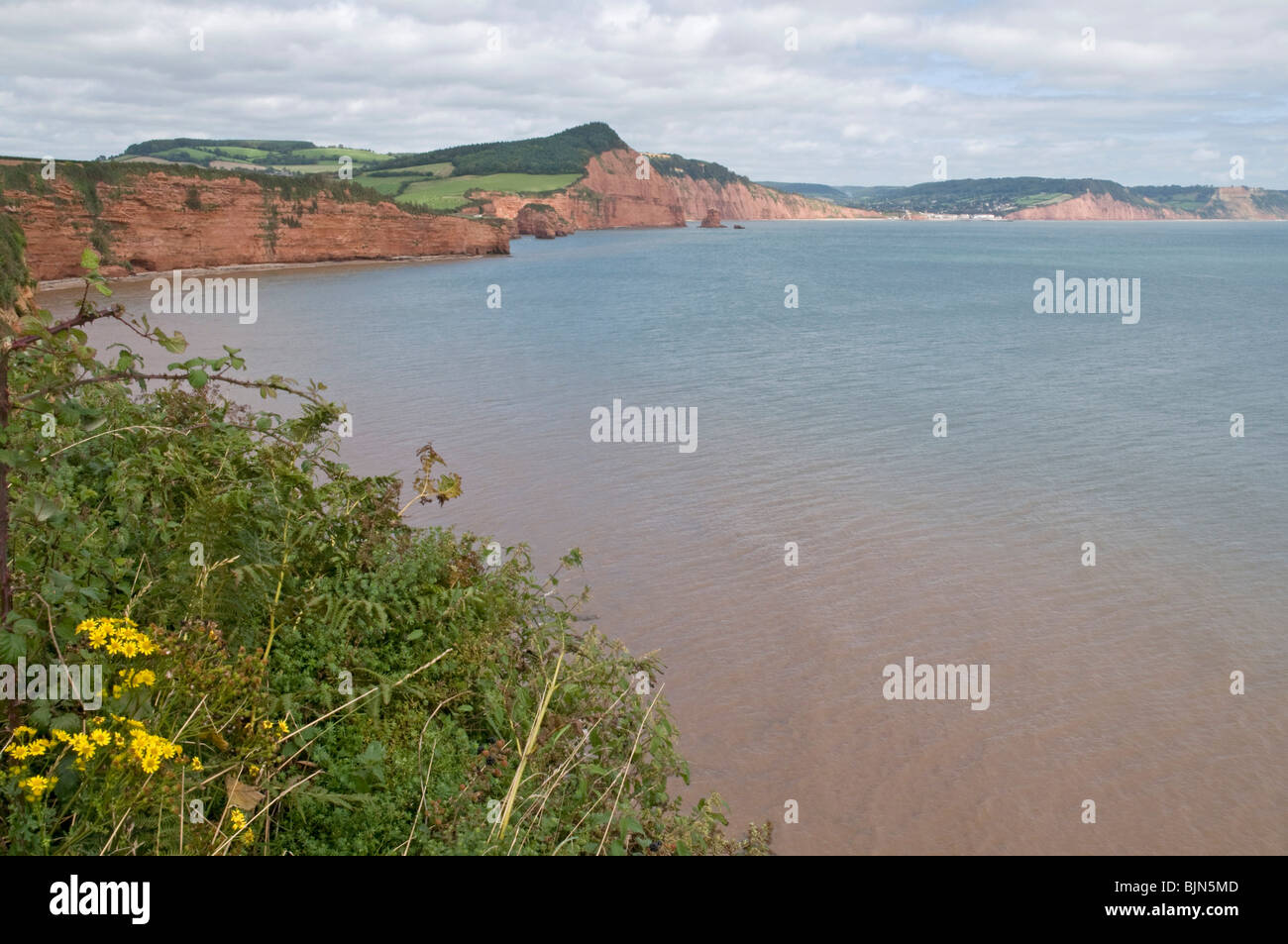 Impressive coastline at Chiselbury Bay, with Ladram Bay and Sidmouth in ...