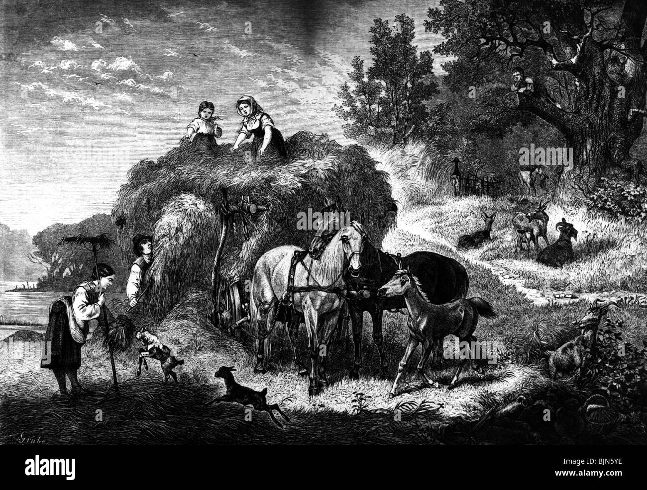 agriculture / farming, harvest, hay harvest, wood engraving by T ...