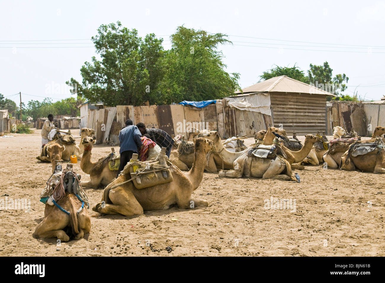 Afar people, Massawa, Eritrea Stock Photo - Alamy