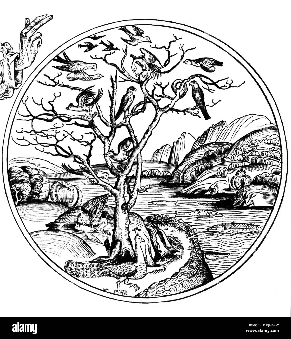 Genesis creation earth hi-res stock photography and images - Alamy