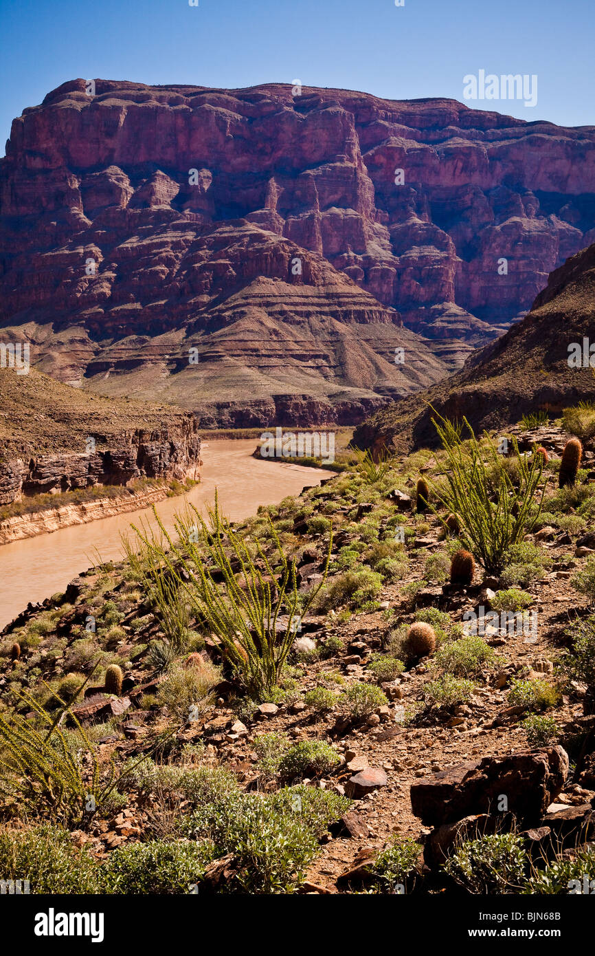 A view of the Colorado river at the base of the Bridge Canyon along the ...