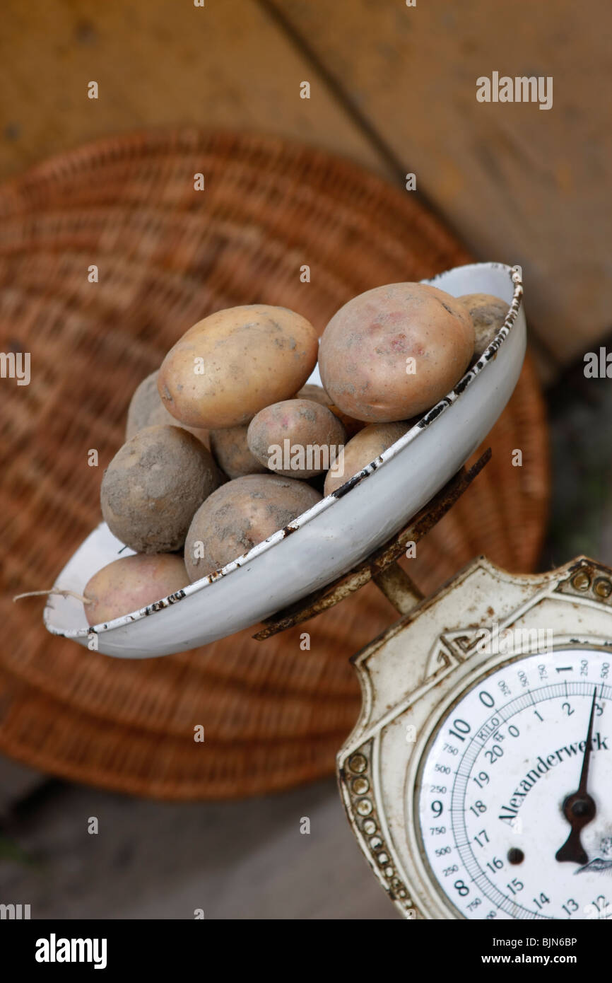 Potato scales hi-res stock photography and images - Alamy