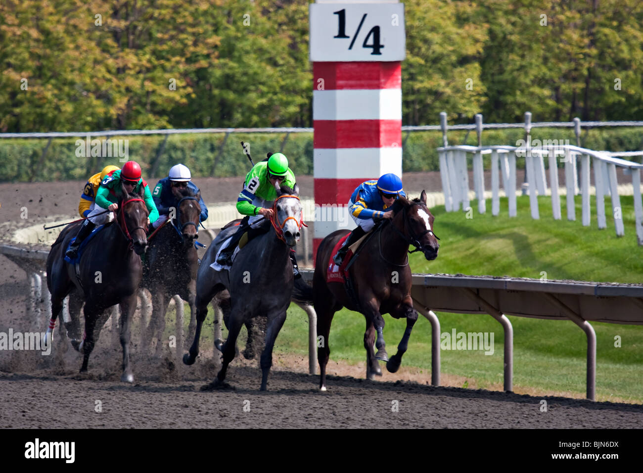 Horse riders group gallop hi-res stock photography and images - Alamy