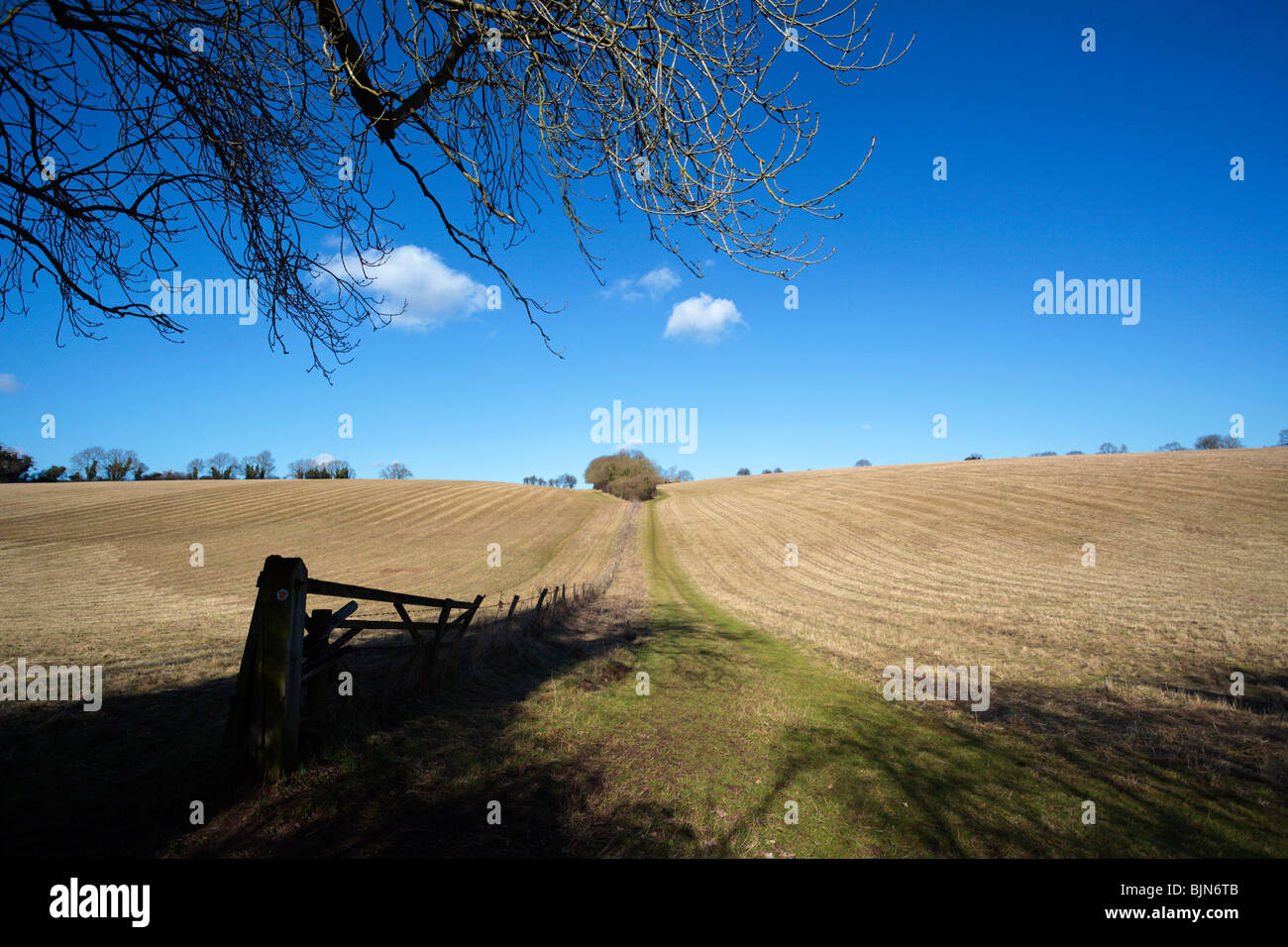 Chiltern landscape in oxfordshire hi-res stock photography and images ...