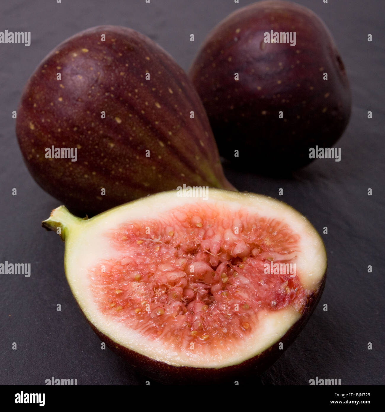 Grey bg hi-res stock photography and images - Alamy