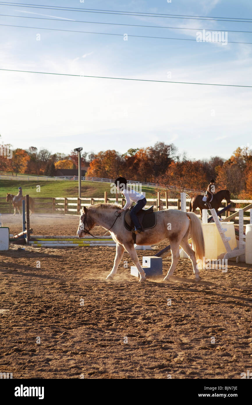 Kentucky horse farm hi-res stock photography and images - Alamy