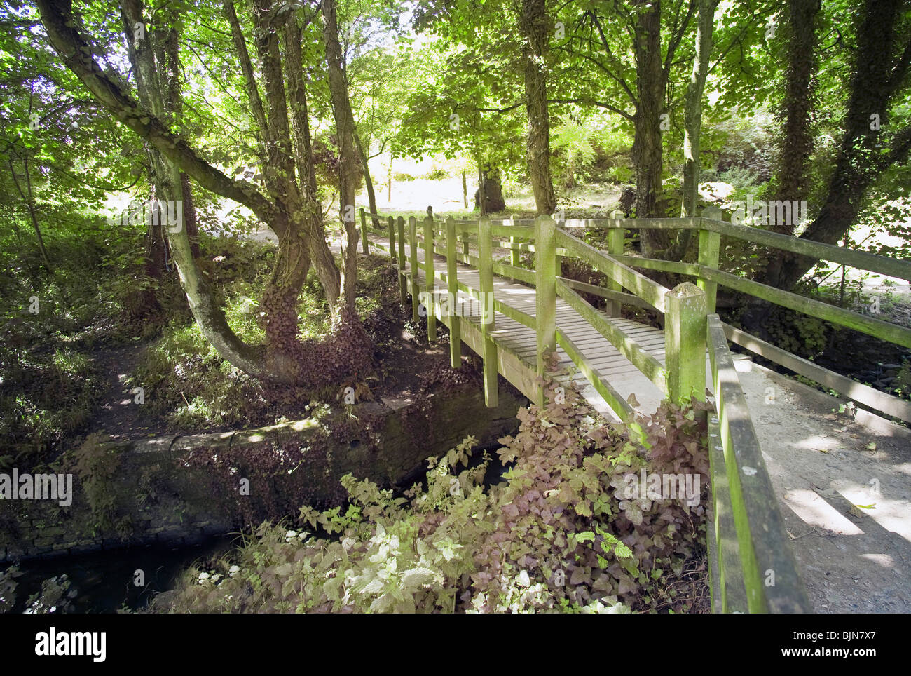 views of corfe castle vllage from the purbeck way long distance ...