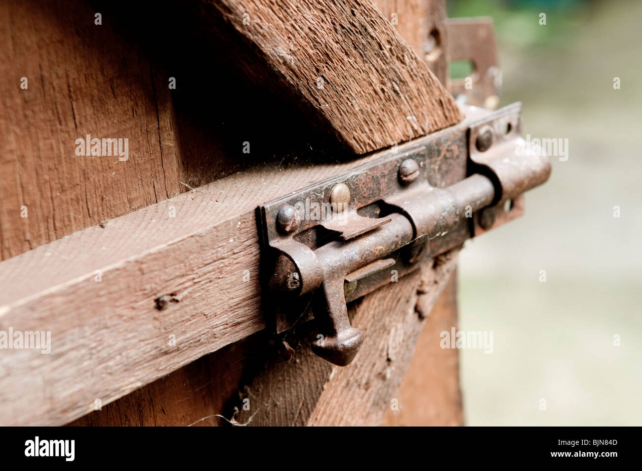Rusty bolt on wooden door Stock Photo - Alamy