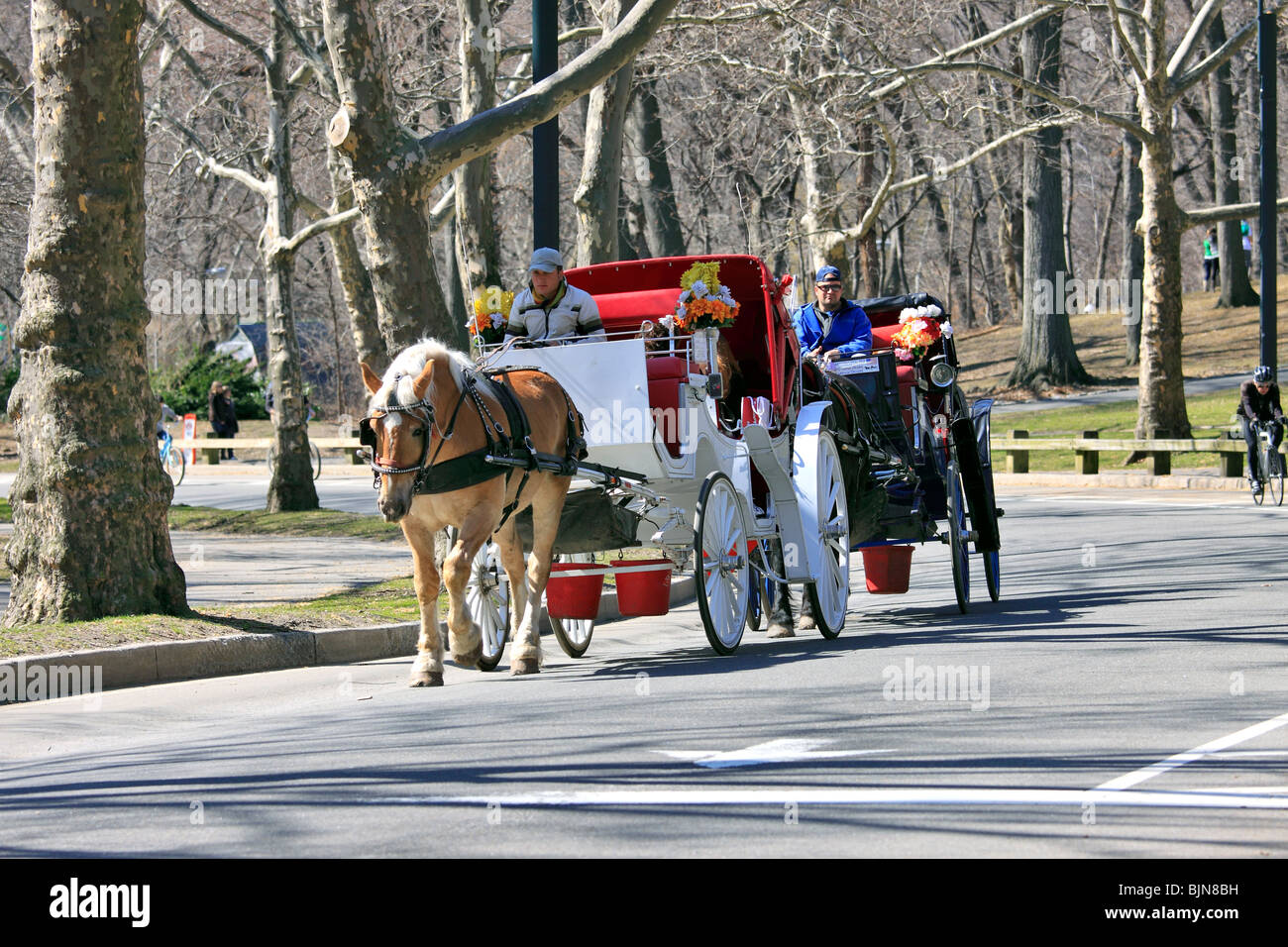 Hansom cab central park hi-res stock photography and images - Alamy