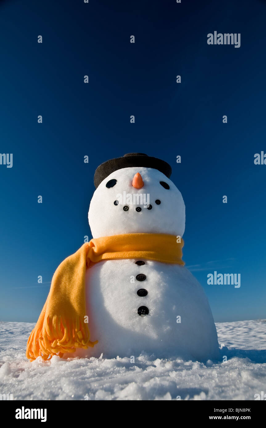 snowman look in sky and wait spring Stock Photo - Alamy