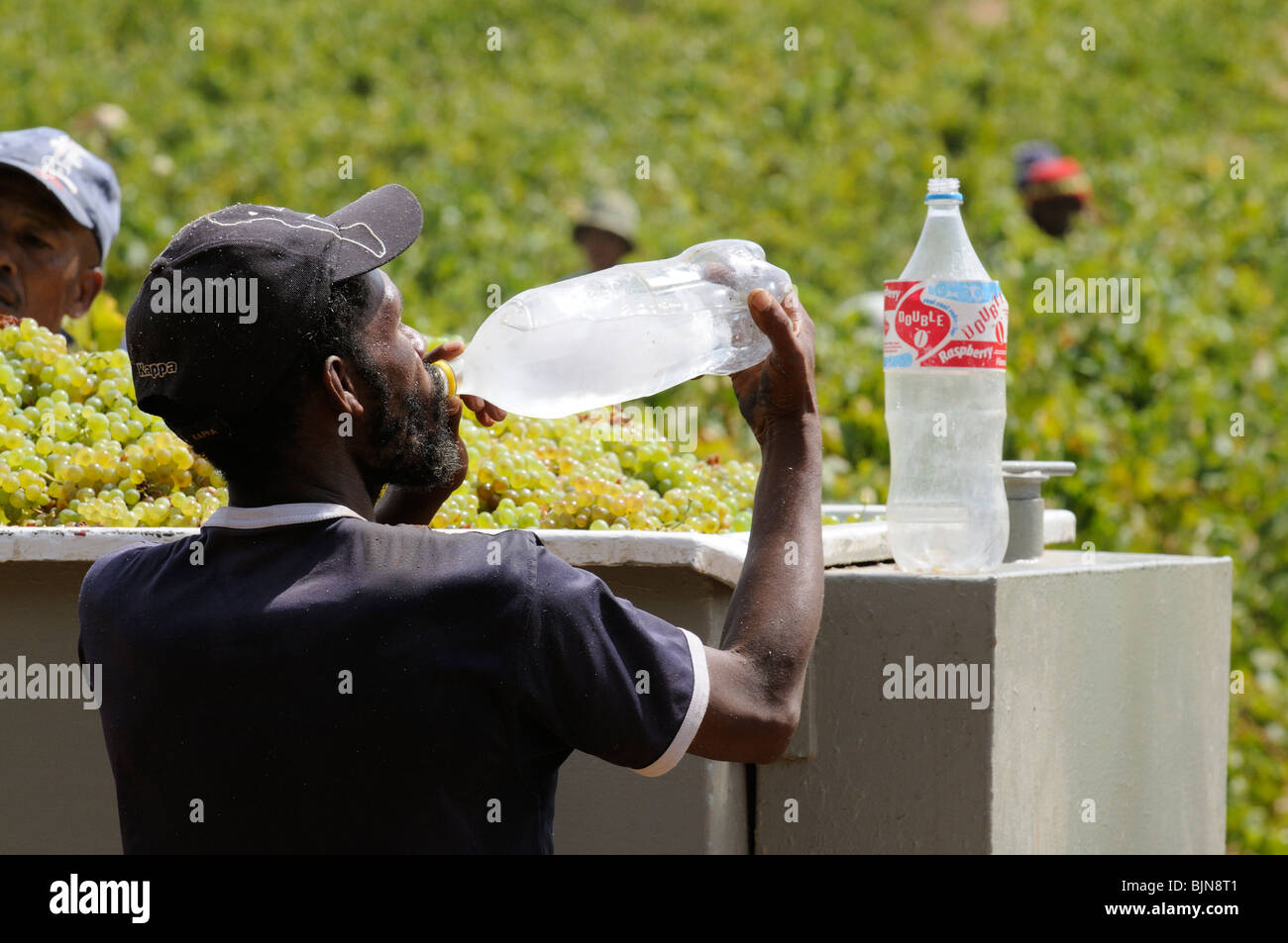 Man quenching his thirst drinking cold water from a plastic bottle ...