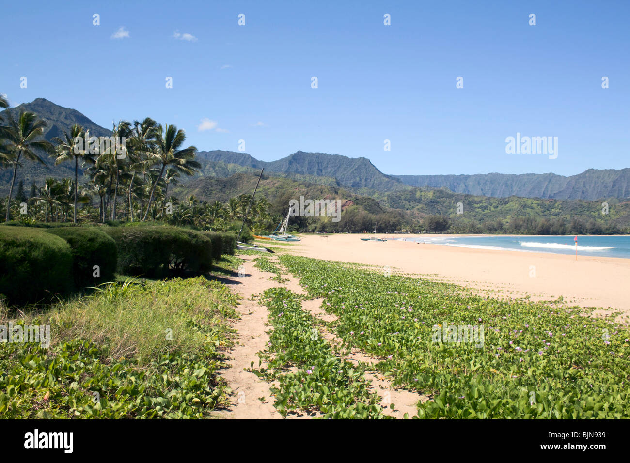 Hanalei beach hi-res stock photography and images - Alamy