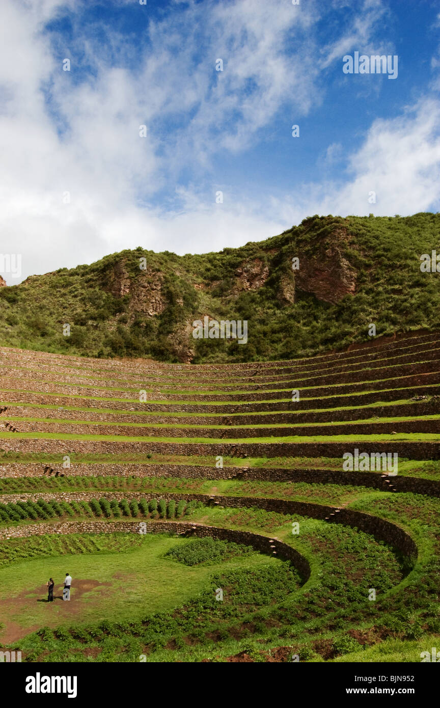 Agricultural terraces moray urubamba peru hi-res stock photography and ...