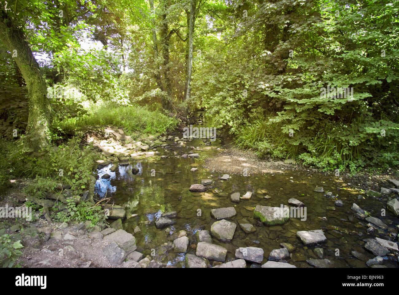 views of corfe castle vllage from the purbeck way long distance ...