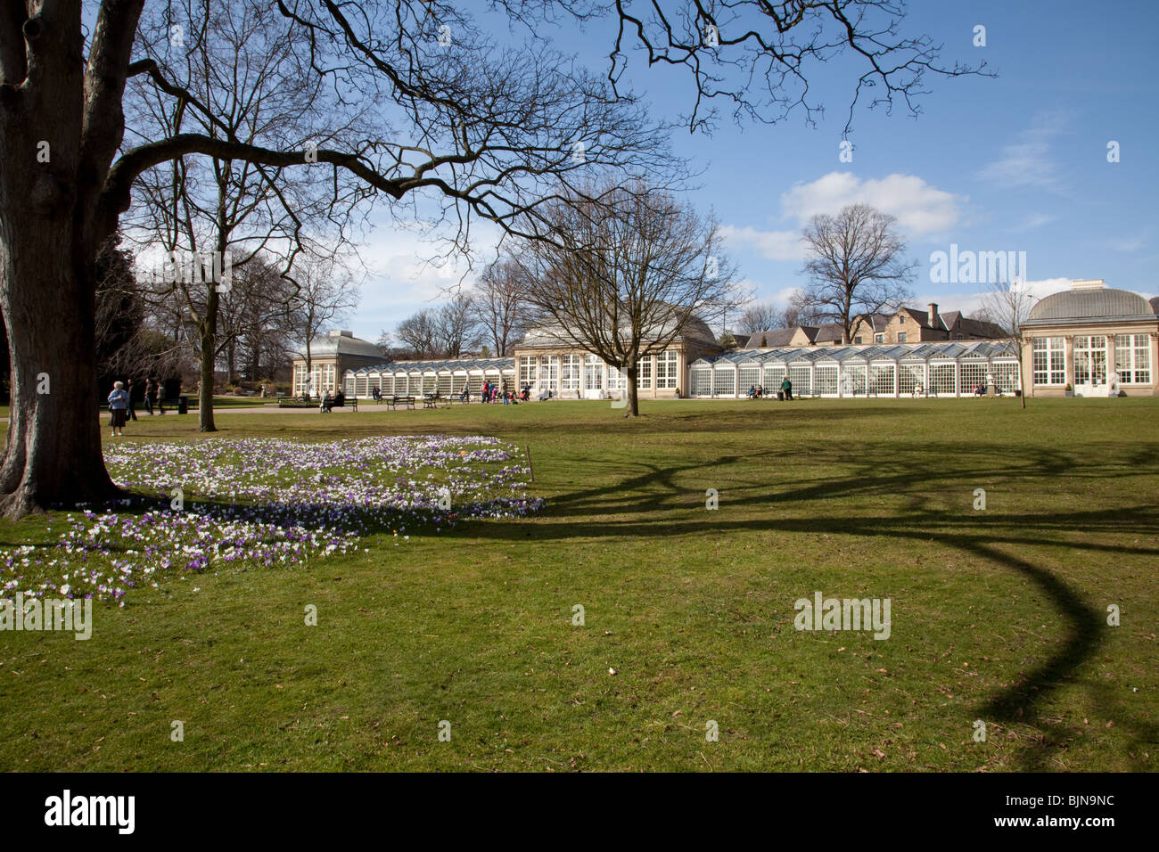 Spring flowers in front the pavilions in the Botanical Gardens ...