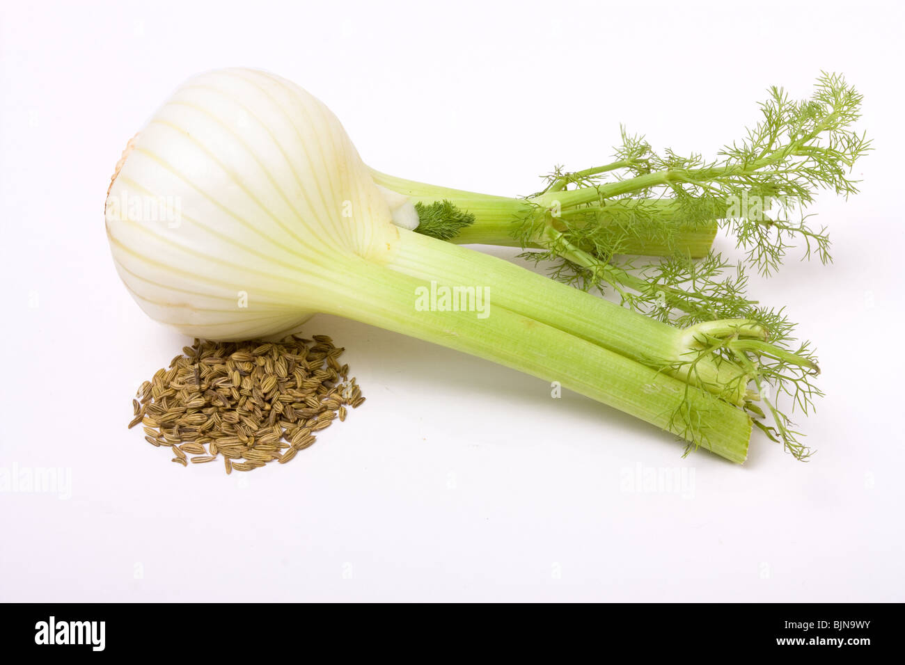 Fennel seeds hi-res stock photography and images - Alamy