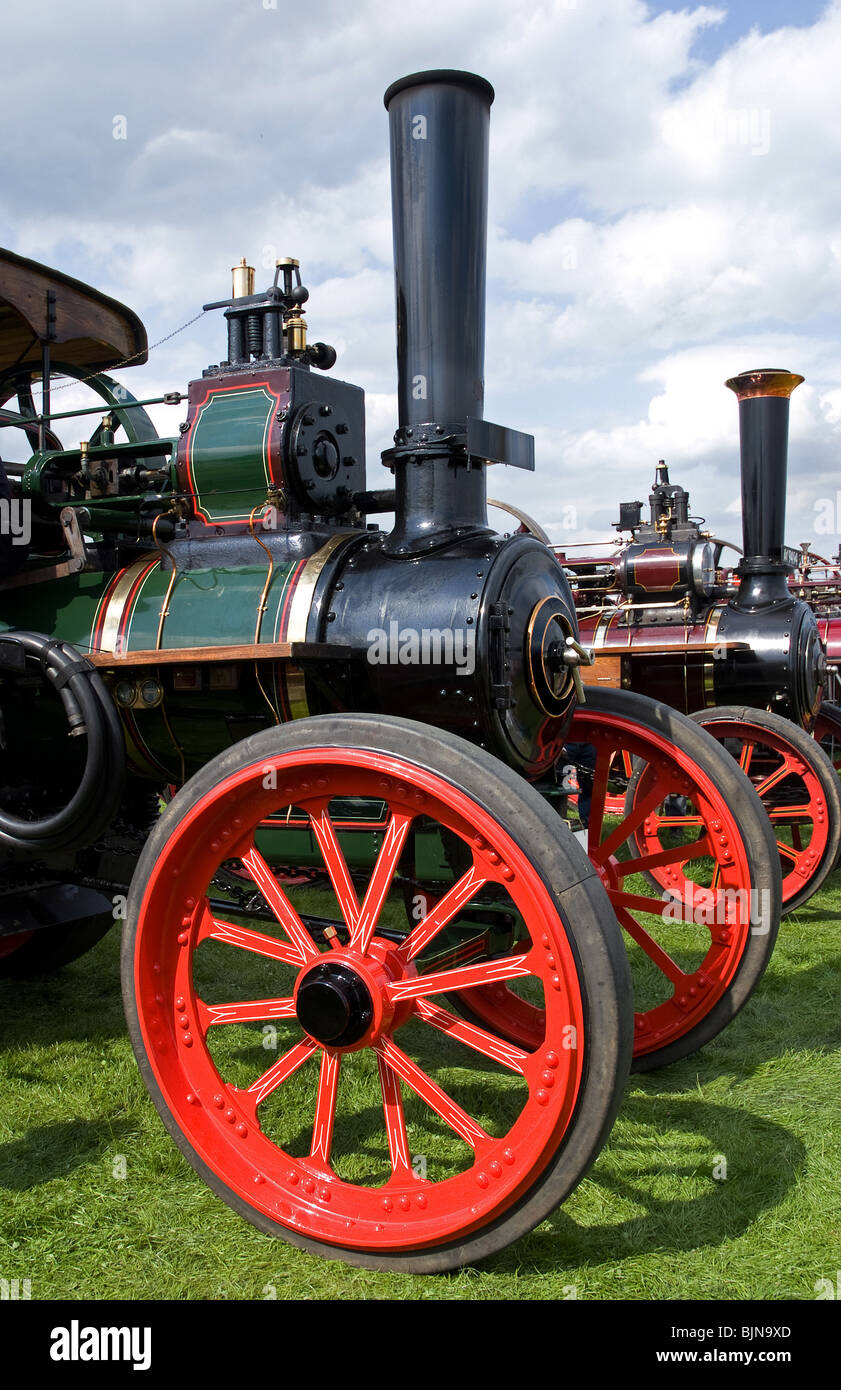 A line of steam traction engines Stock Photo - Alamy