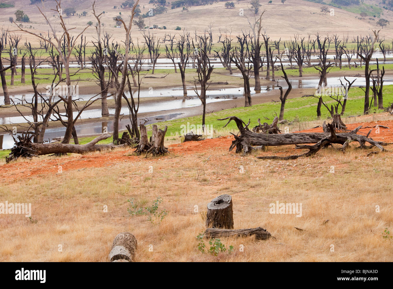 Lake Hume in New South Wales at very low levels due to the ongoing ...