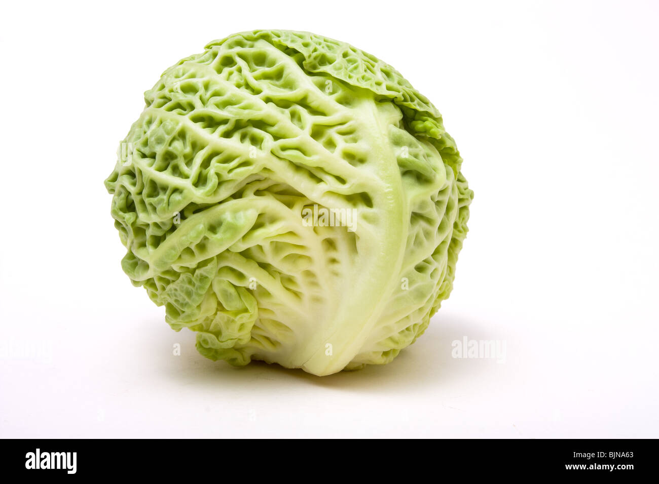 Cabbage close up from low viewpoint against white background Stock ...