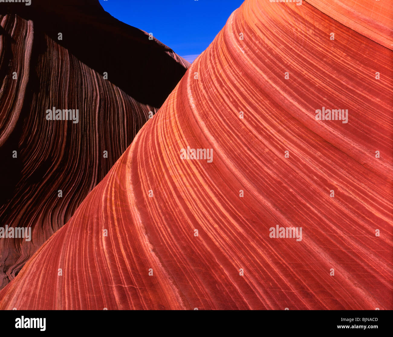 The Wave sandstone formation at Coyote Buttes Stock Photo - Alamy