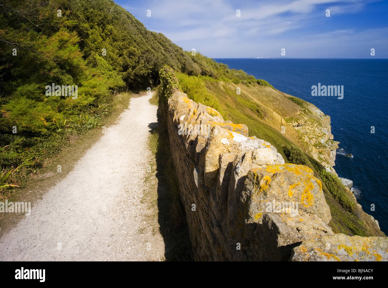 view of & from the south west coast path in dorset. durlston head ...