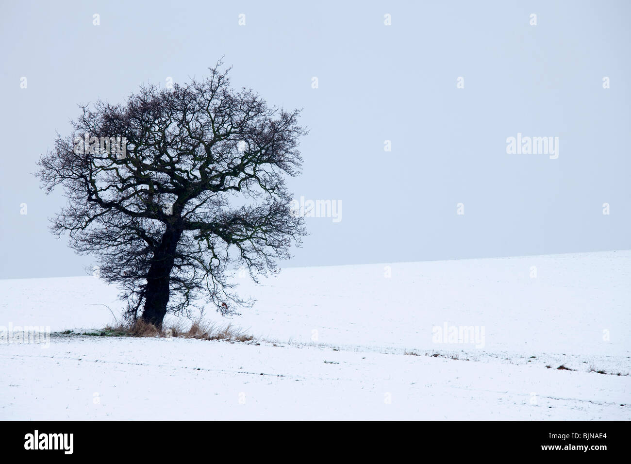 Alvecote hi-res stock photography and images - Alamy