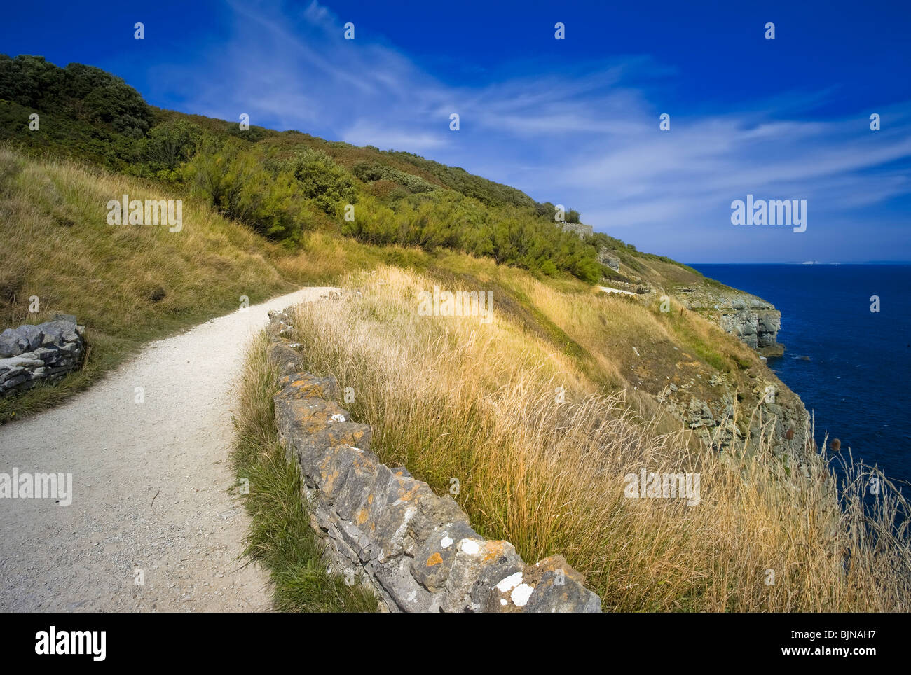 view of & from the south west coast path in dorset. durlston head ...