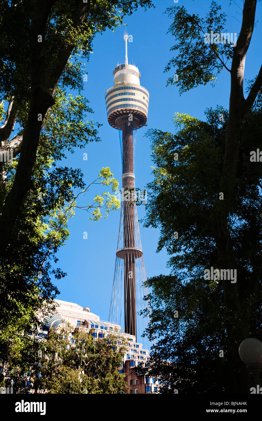 Tower in Sydney, Australia Stock Photo - Alamy