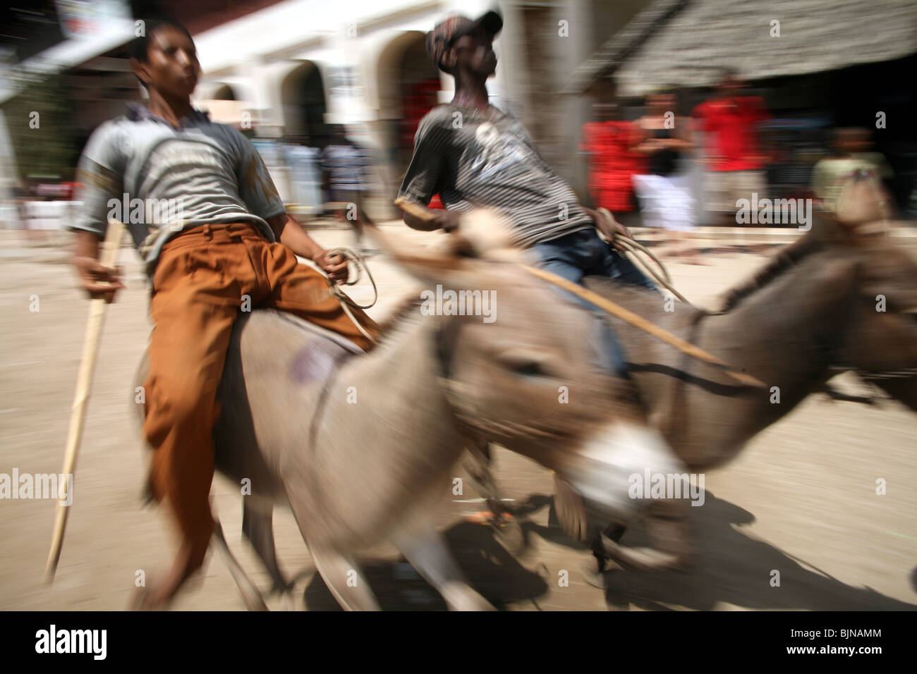 Donkey Race Stock Photos & Donkey Race Stock Images - Alamy