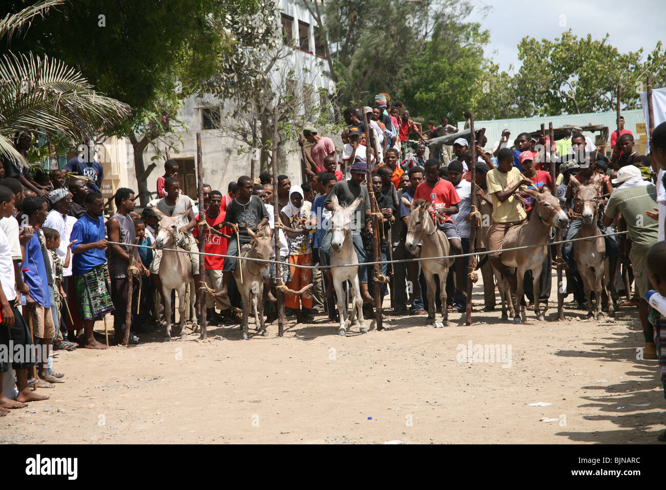 The start of the Donkey racing during Maulidi which takes place every ...