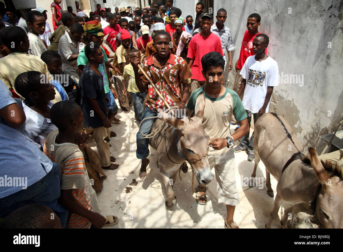Donkey racing hi-res stock photography and images - Alamy