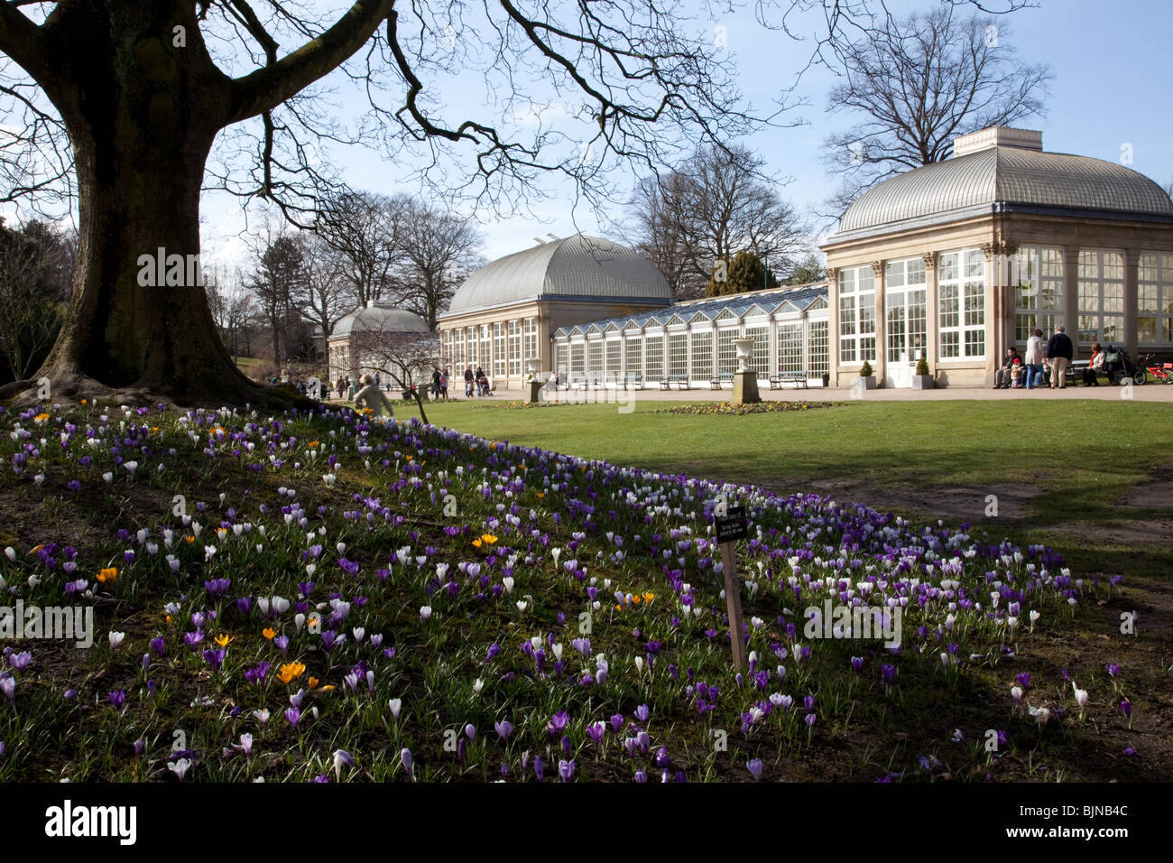 Spring flowers in front the pavilions in the Botanical Gardens ...