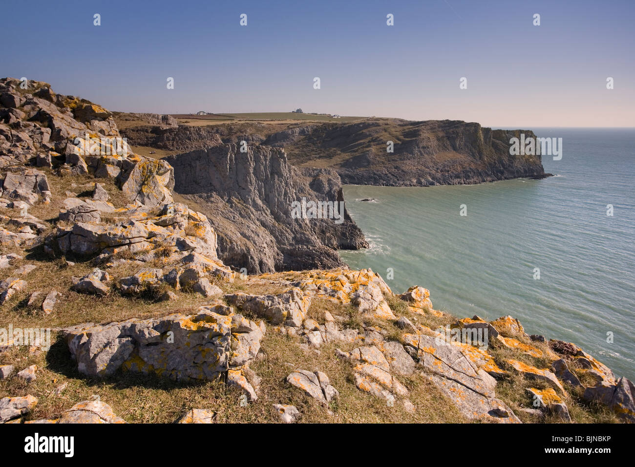 Limestone cliffs south wales hi-res stock photography and images - Alamy