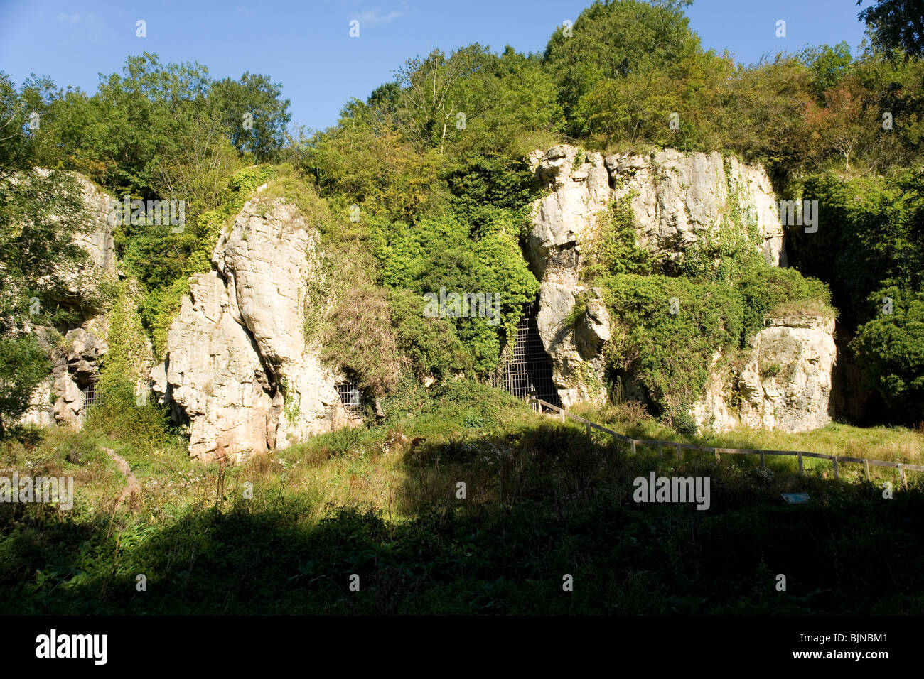 Creswell hi-res stock photography and images - Alamy