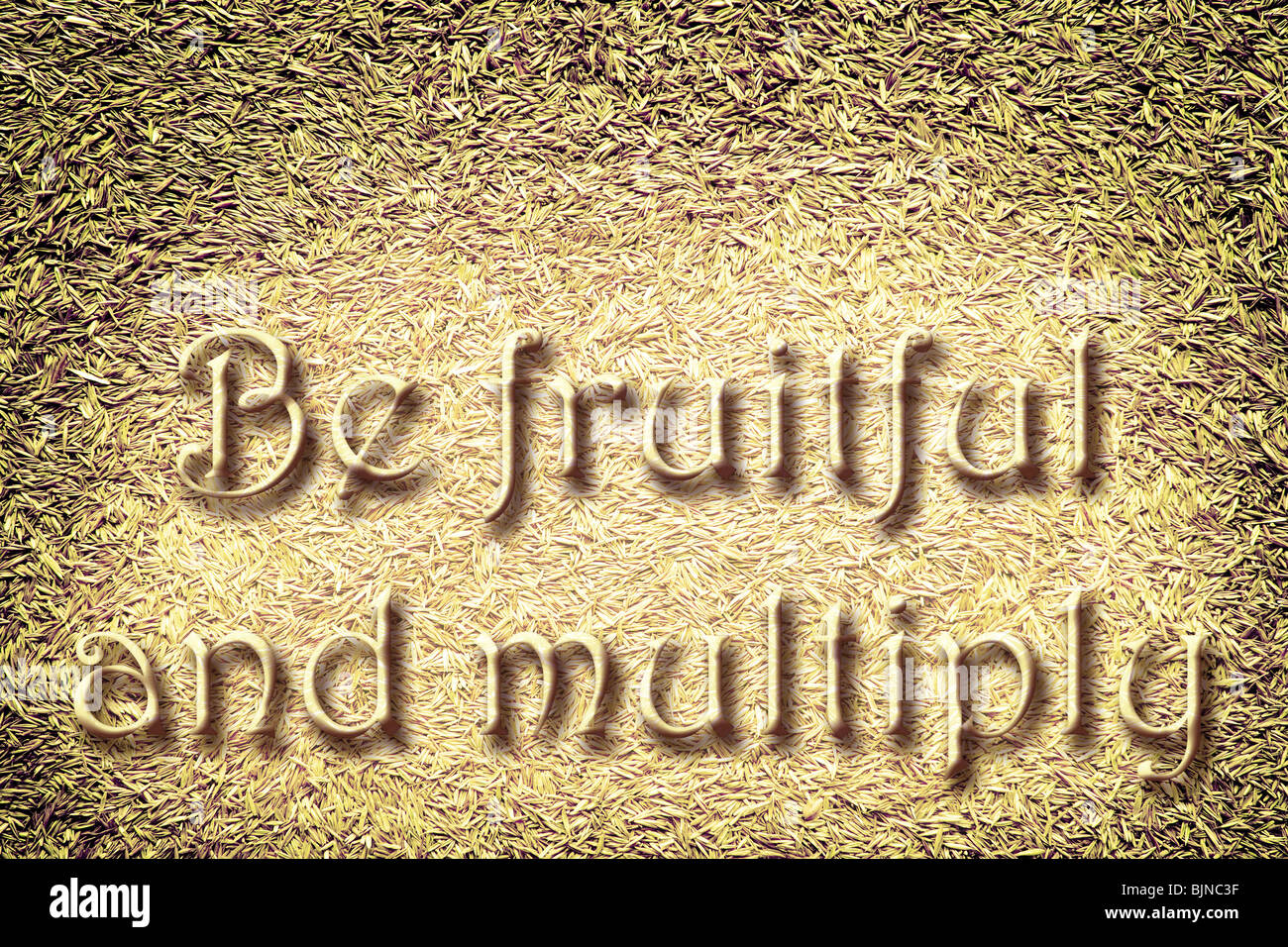 Be fruitful and multiply hi-res stock photography and images - Alamy