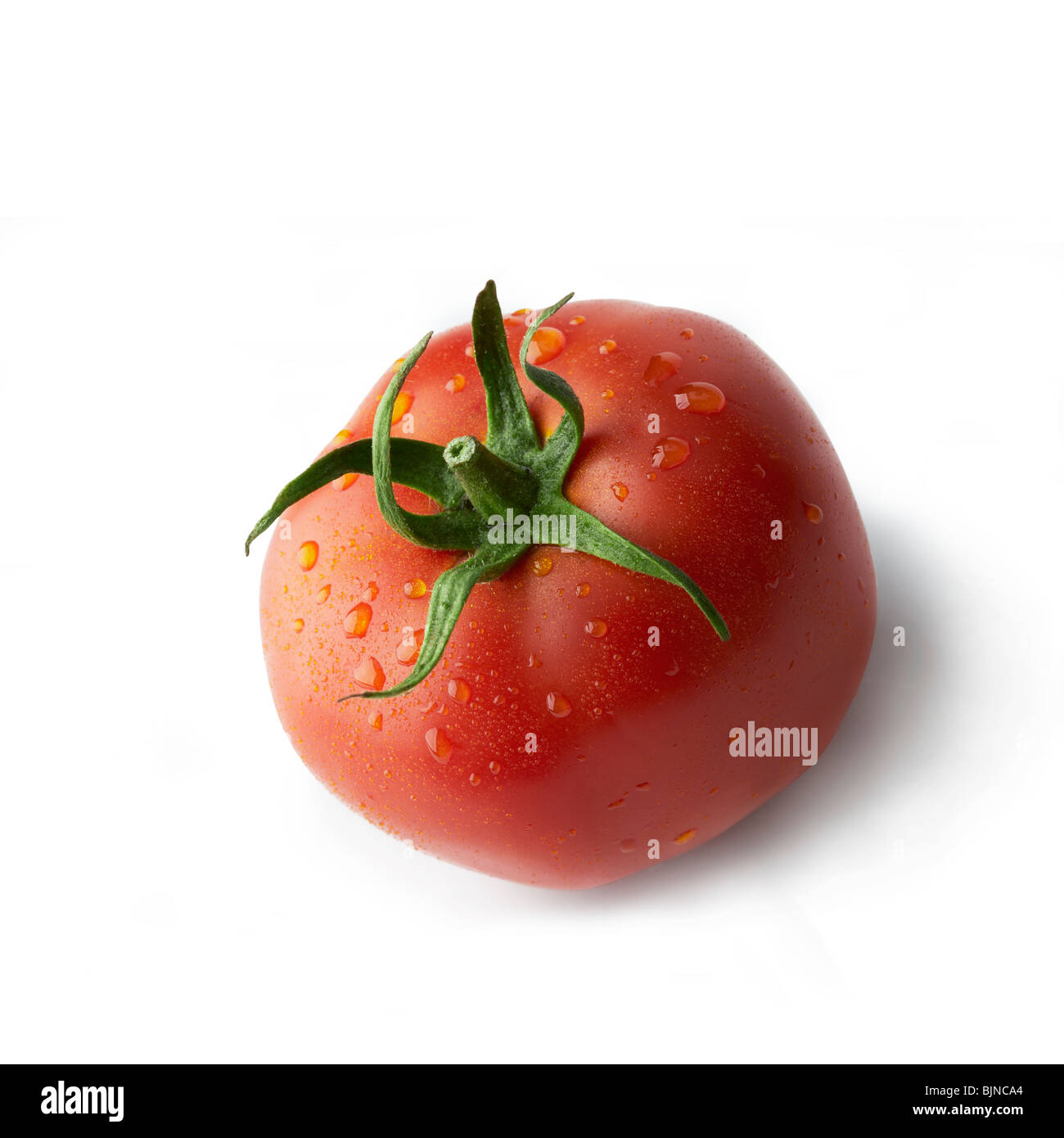 Tomato single with drops. The file includes a clipping path ...