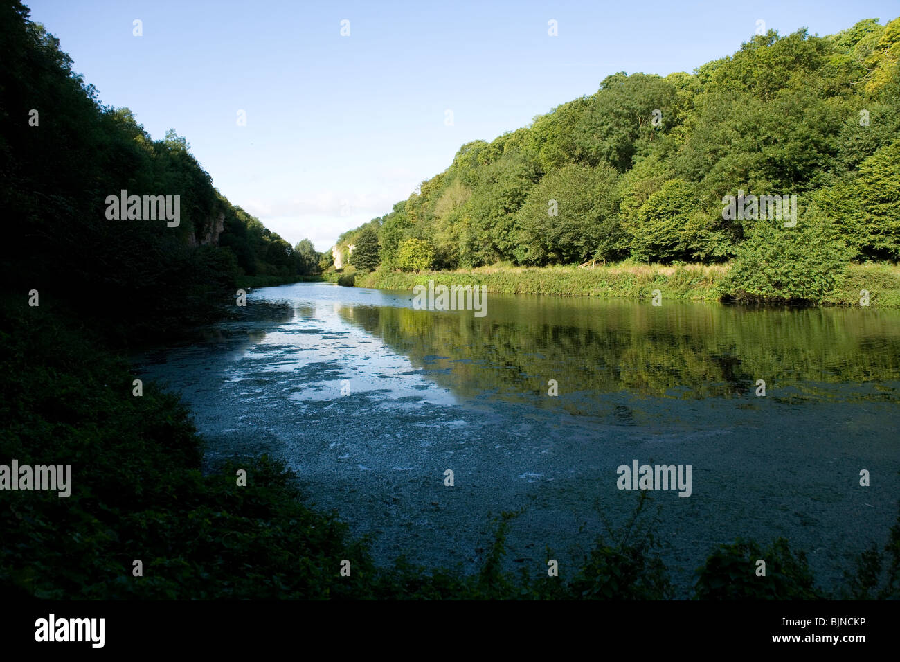 Creswell Crags in Derbyshire Stock Photo - Alamy