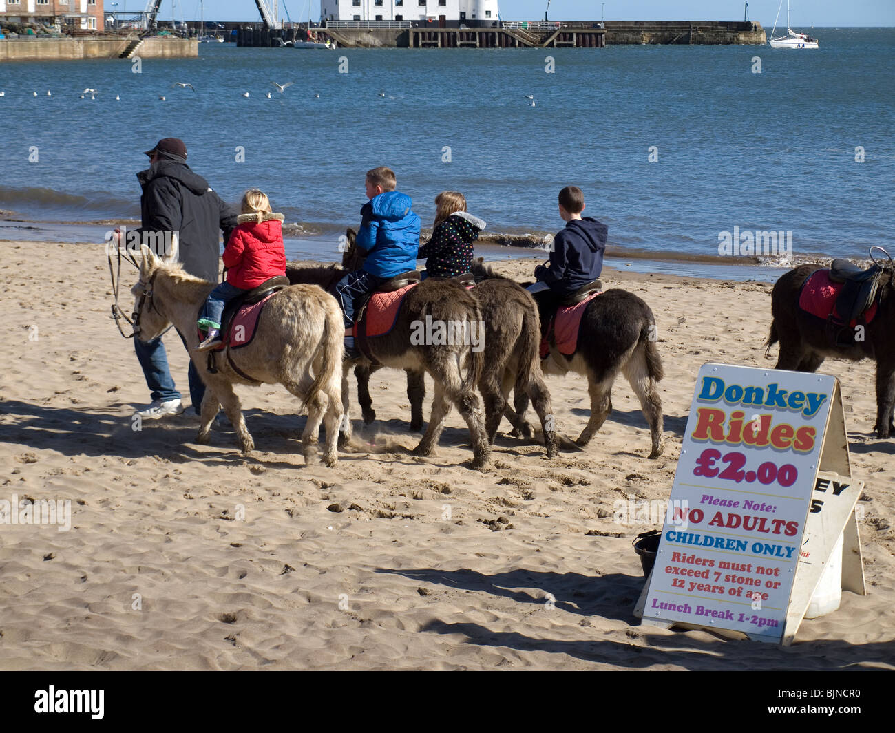 Scarborough donkey rides hi-res stock photography and images - Alamy