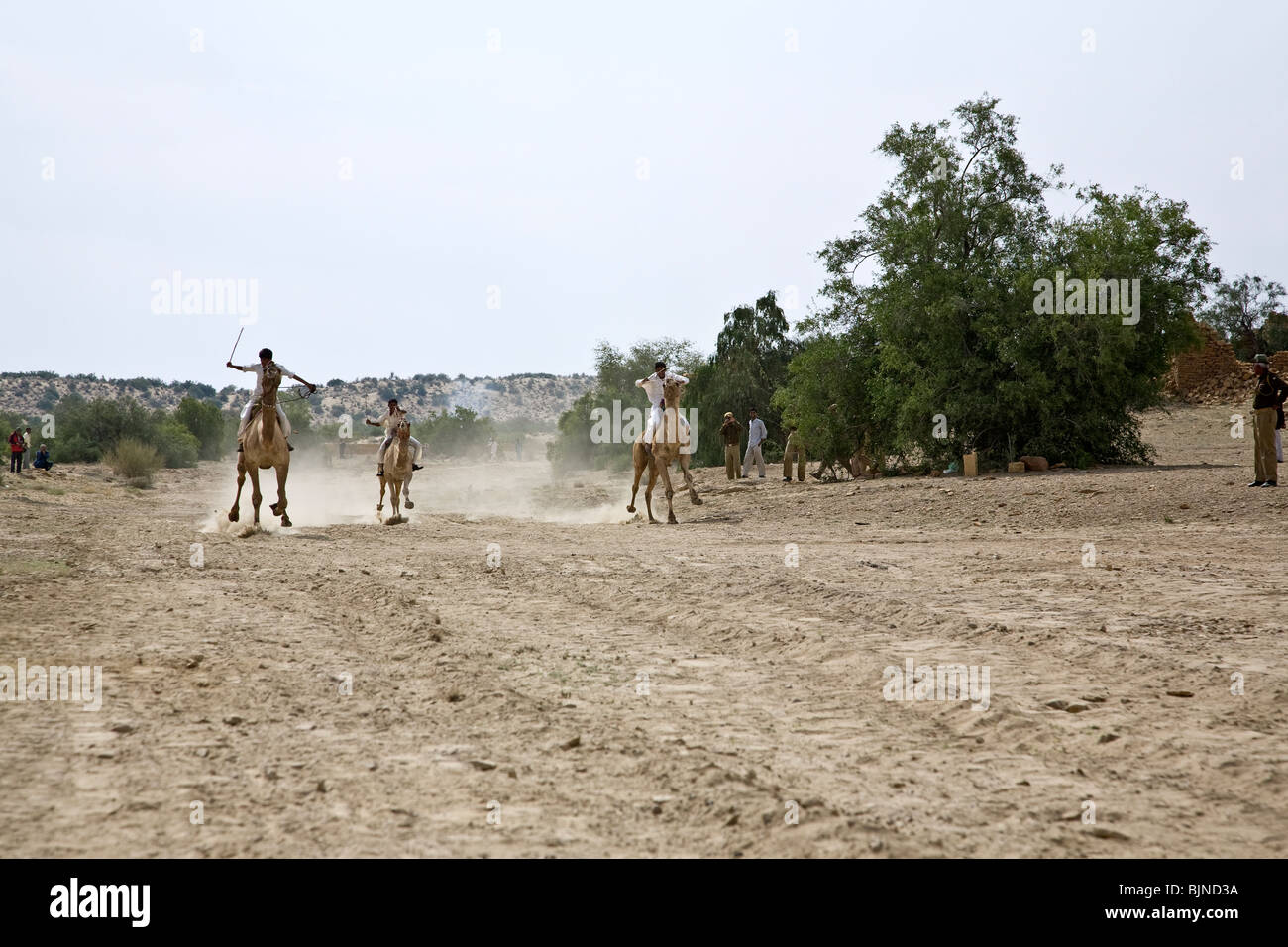 Camel race. Khuri village. Near Jaisalmer. Rajasthan. India Stock Photo ...