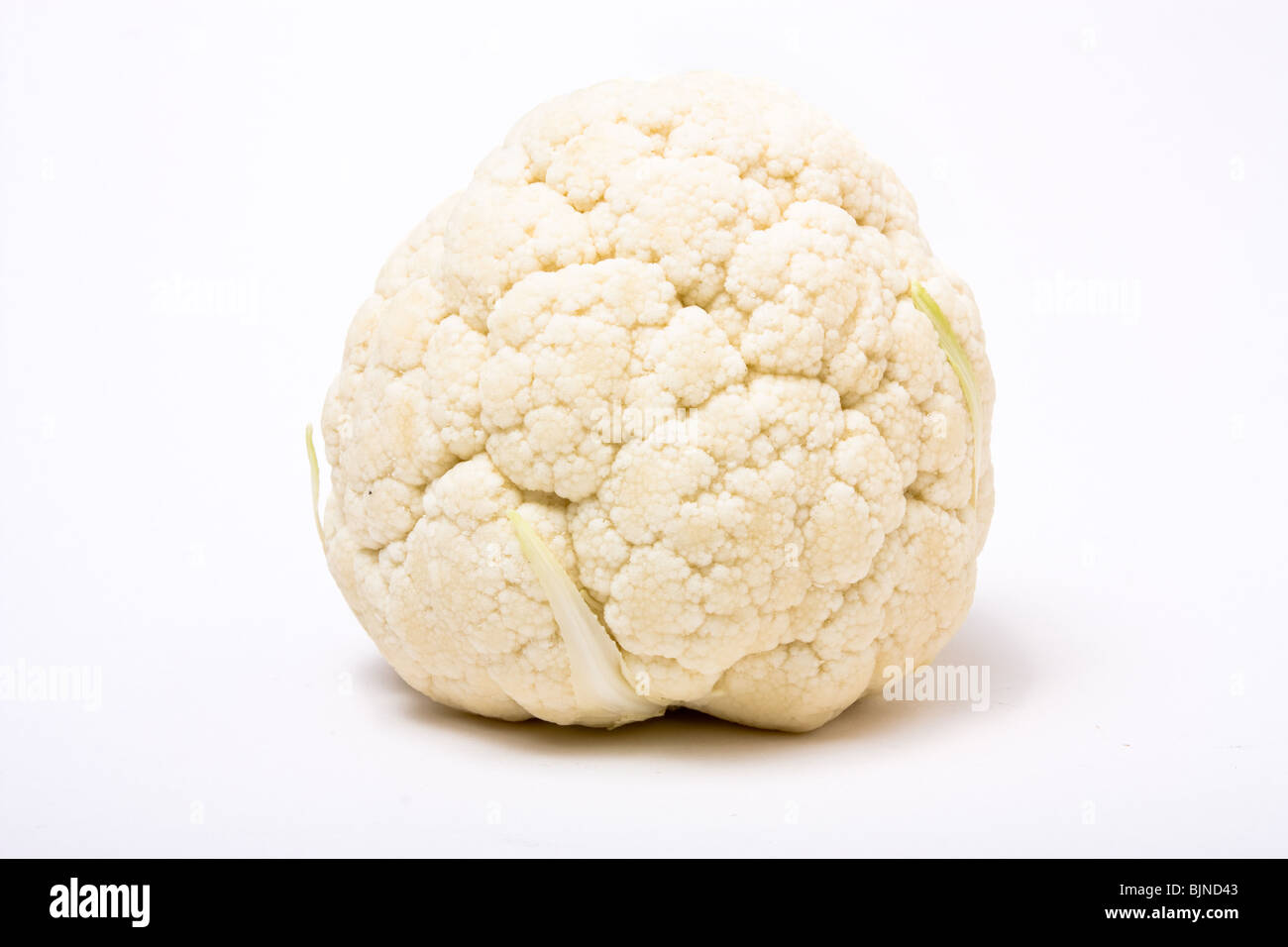 Single head of cauliflower isolated against white background Stock ...