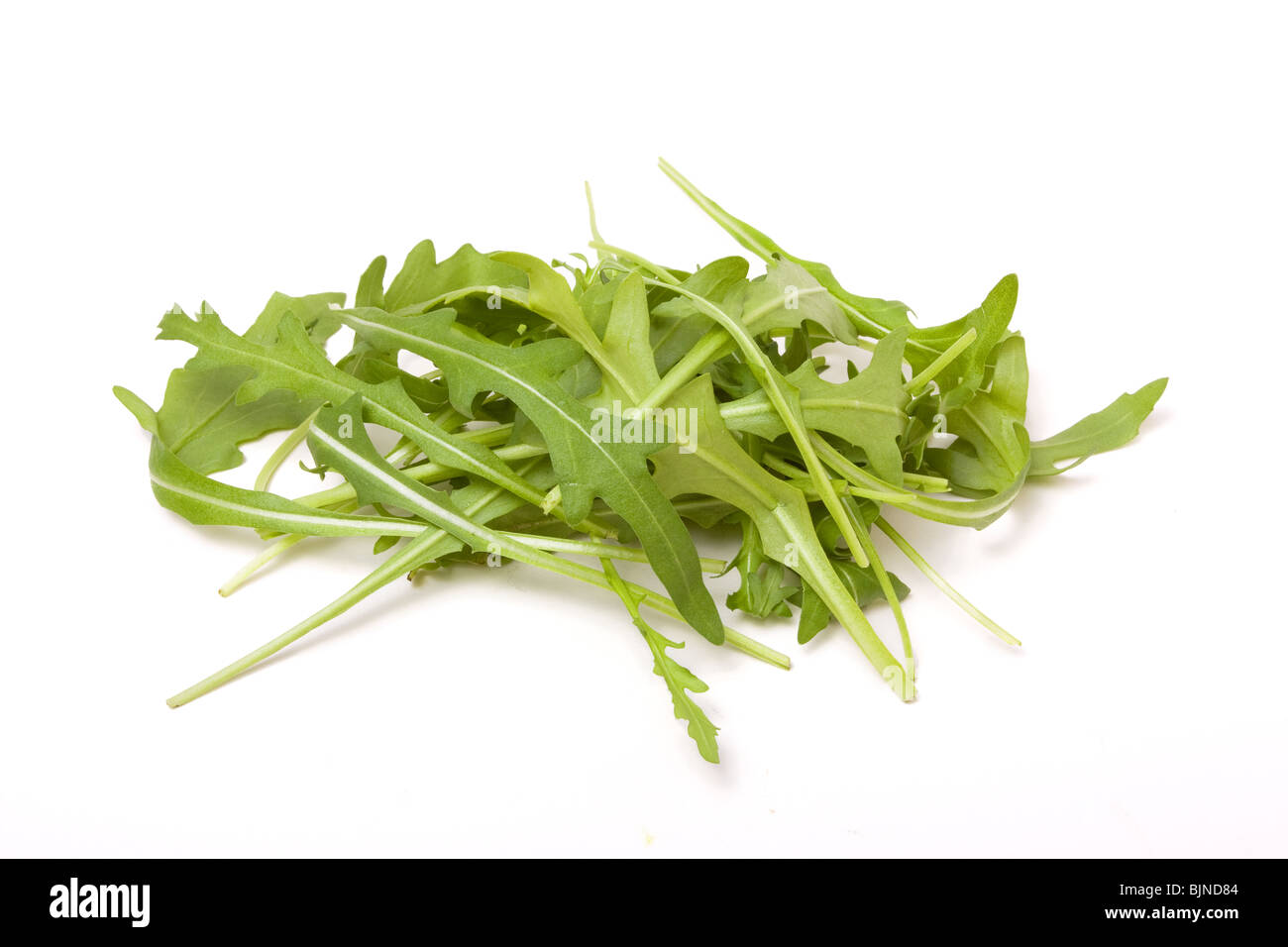 Pile of Rocket Leaf isolated against white background Stock Photo - Alamy
