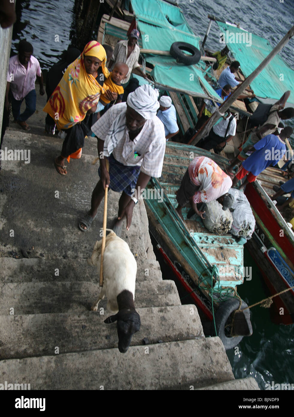 Goats Steps High Resolution Stock Photography and Images - Alamy