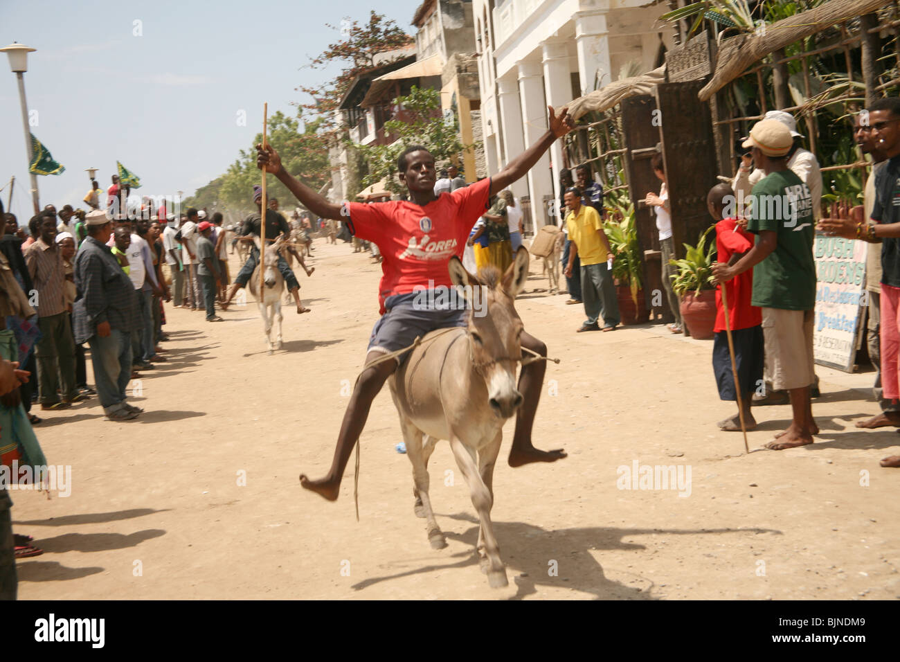 Lamu donkey race hi-res stock photography and images - Alamy