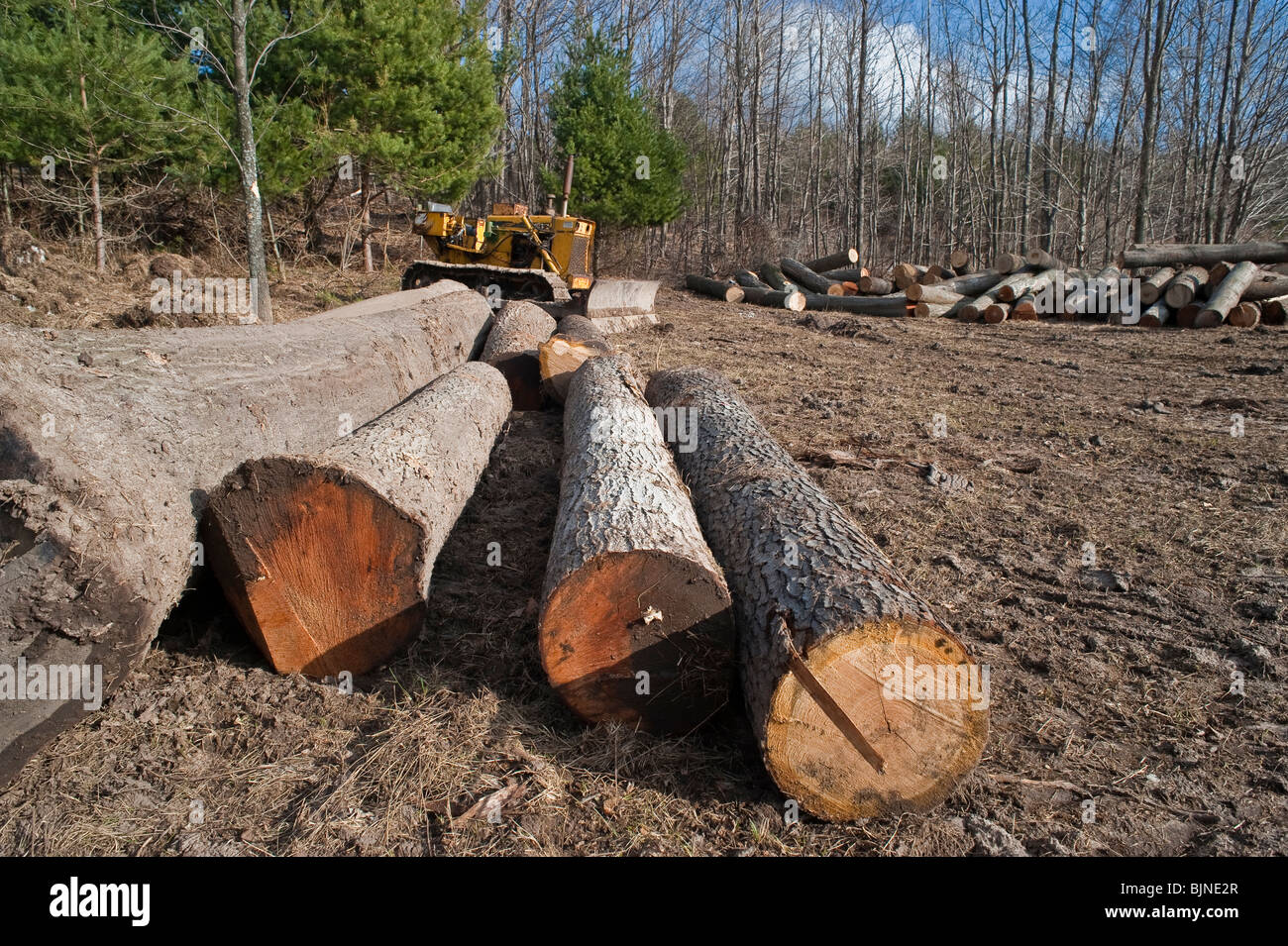 Logging Operations Stock Photos & Logging Operations Stock Images - Alamy