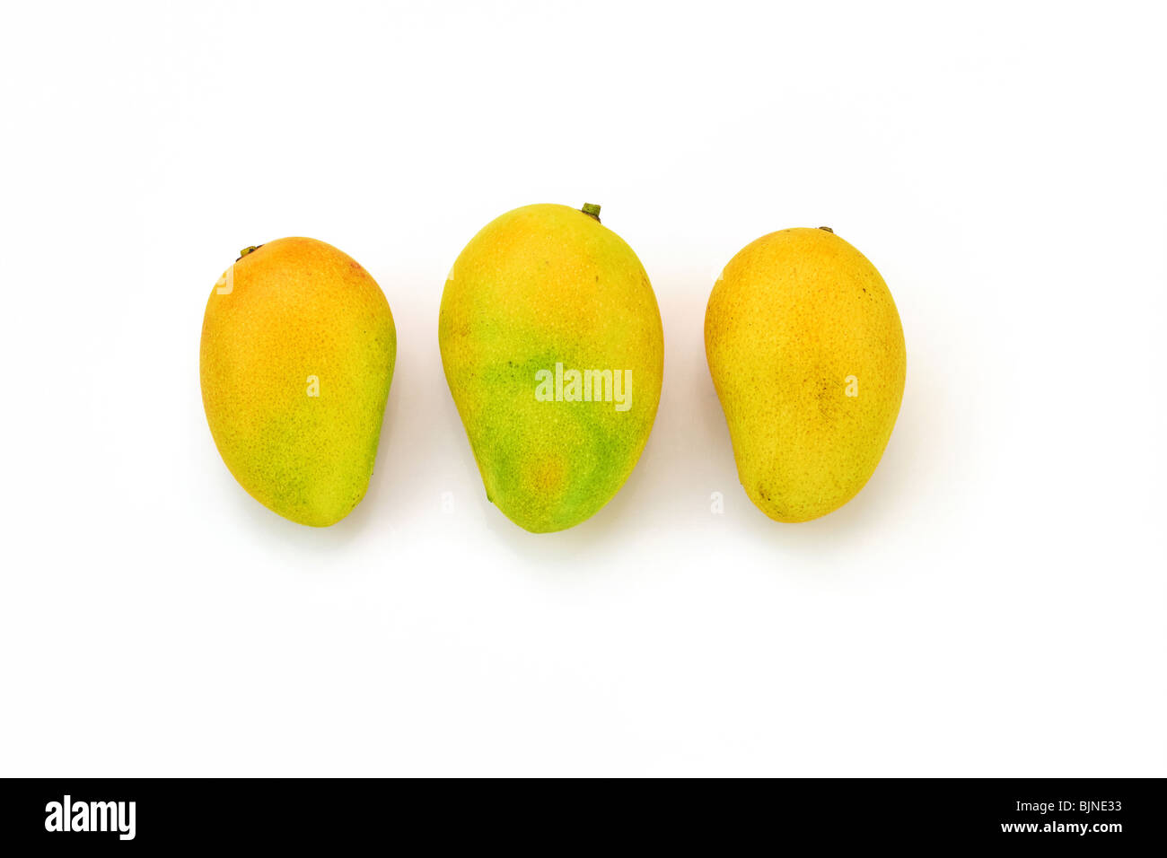Mango crops hi-res stock photography and images - Alamy